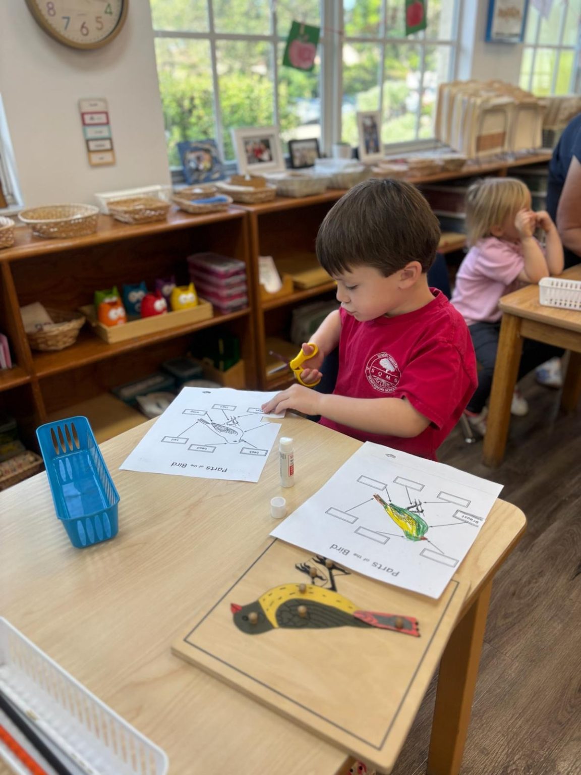 Home - Summit-Questa Montessori