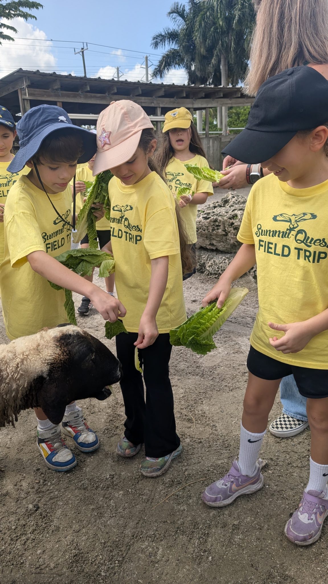 Home - Summit-Questa Montessori